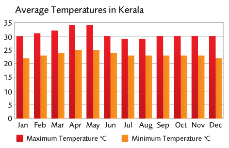 Kerala – Fresh Eyes